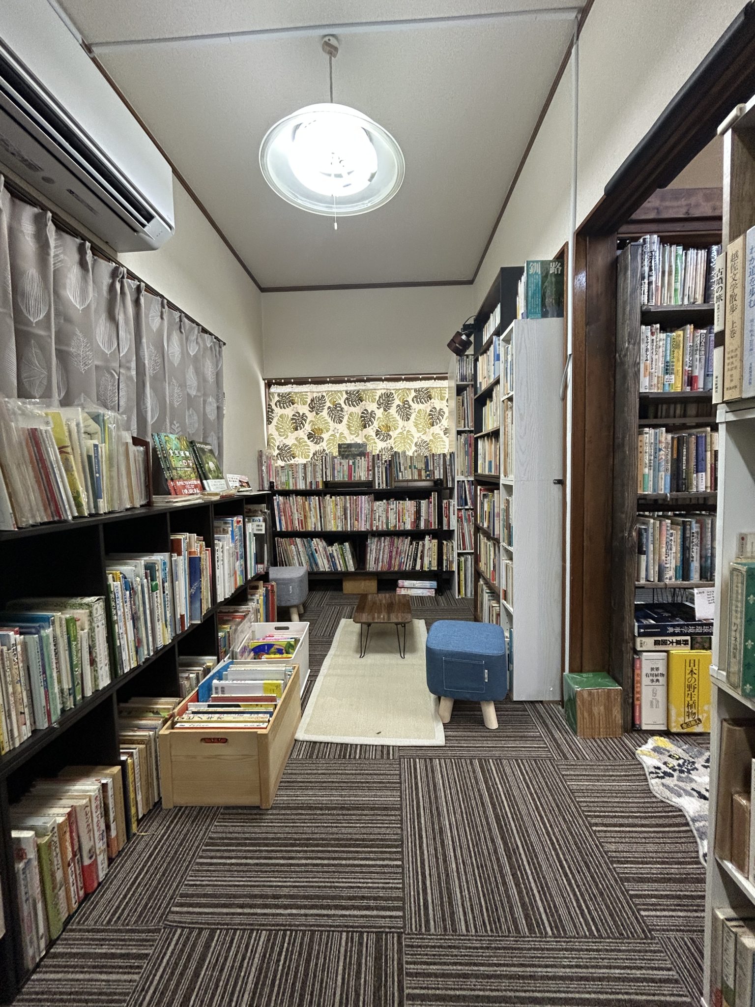 古本と植物の店「弥生坂 緑の本棚」がリニューアル・オープン | コトノハ｜cotonoha.inc｜池の近くの本を作る会社。