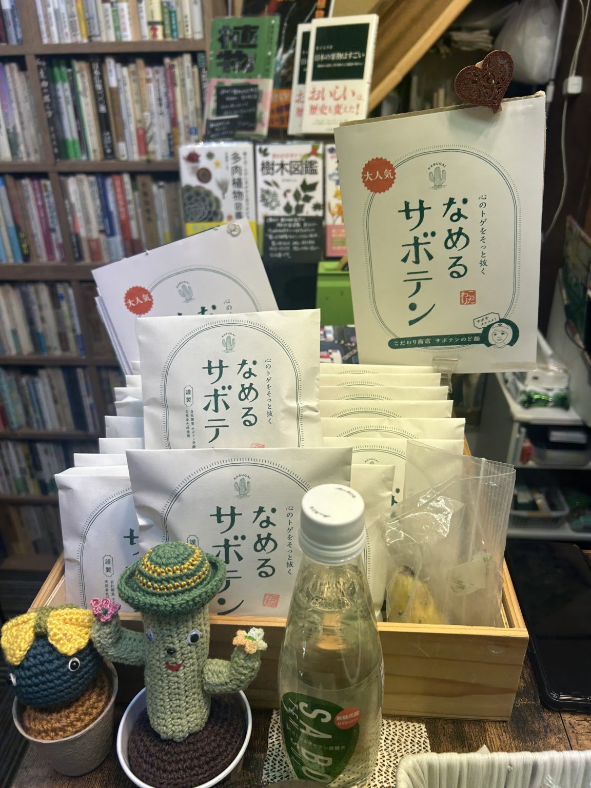 古本と植物の店「弥生坂 緑の本棚」がリニューアル・オープン | コトノハ｜cotonoha.inc｜池の近くの本を作る会社。